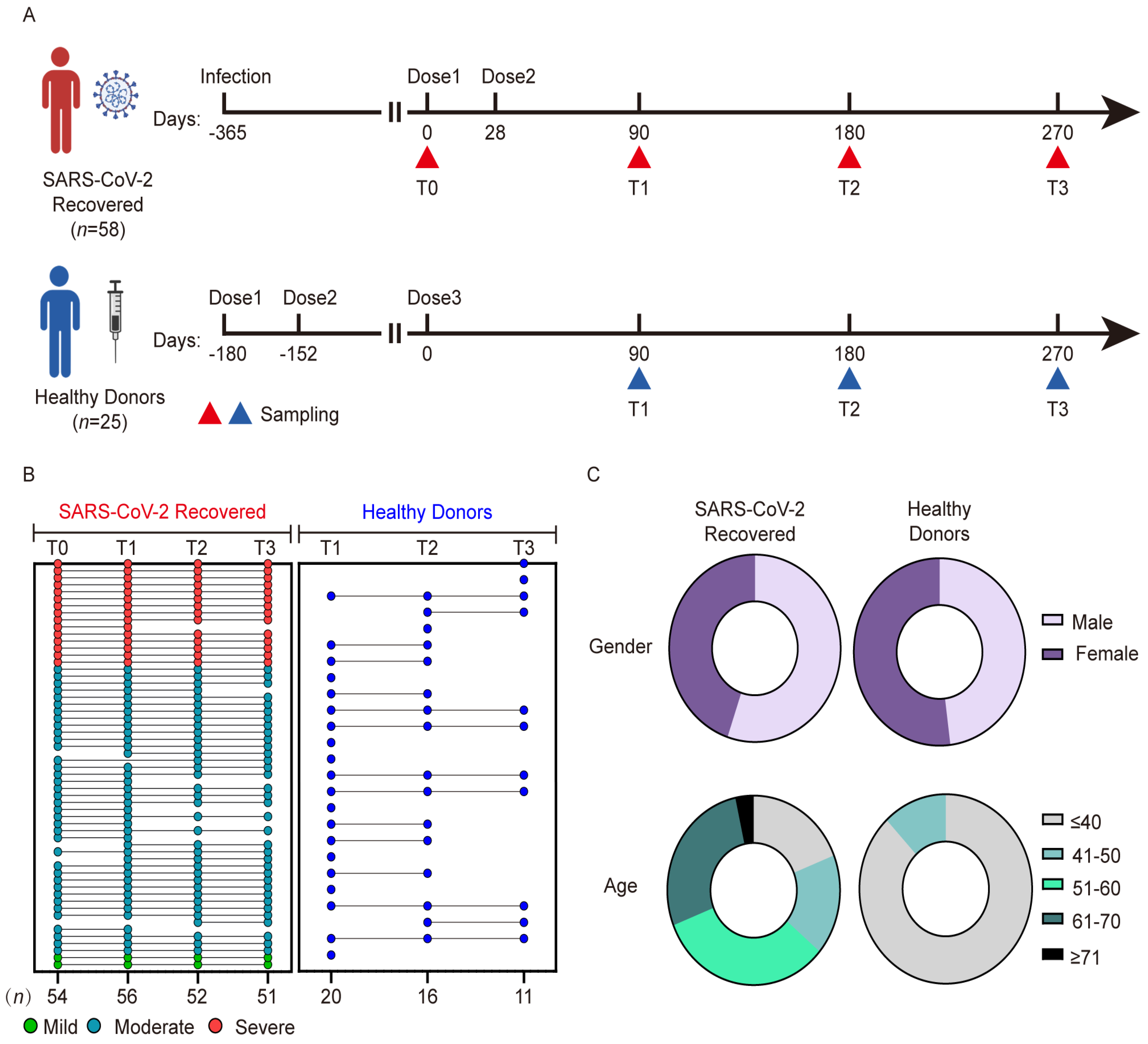 Dynamics of SARS-CoV-2 Antibody Responses up to 9 Months Post ...