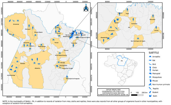Isolation of Flaviviruses and Alphaviruses with Encephalitogenic ...
