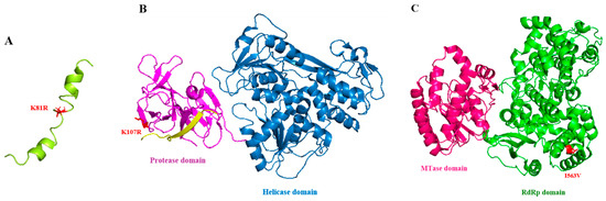 Intrahost Genetic Diversity of Dengue Virus in Human Hosts and Mosquito ...
