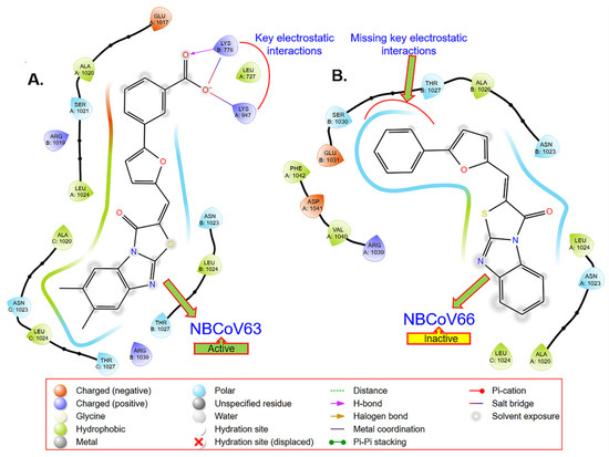 Discovery of Highly Potent Small Molecule Pan-Coronavirus Fusion Inhibitors