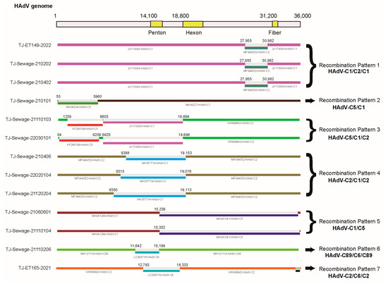 Whole Genomic Sequence Analysis of Human Adenovirus Species C Shows ...