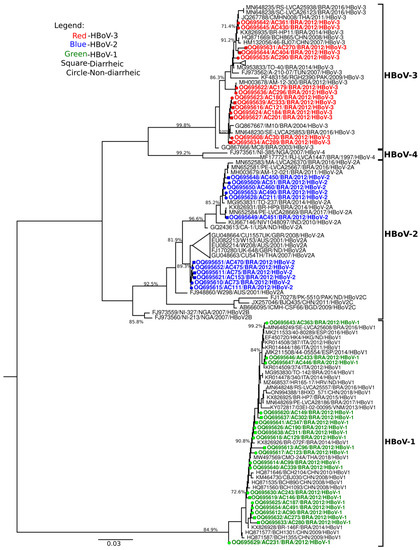 Epidemiologic and Clinical Characteristics of Human Bocavirus Infection ...