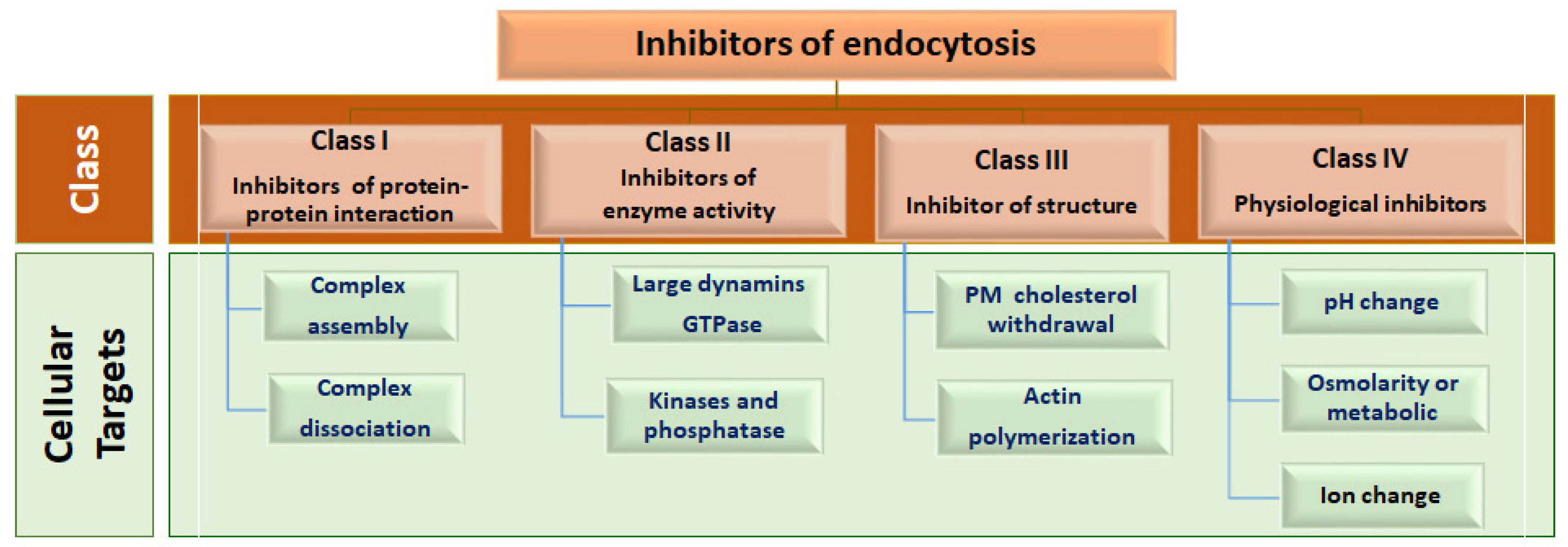 Viruses | Free Full-Text | Mechanistic-Based Classification of ...