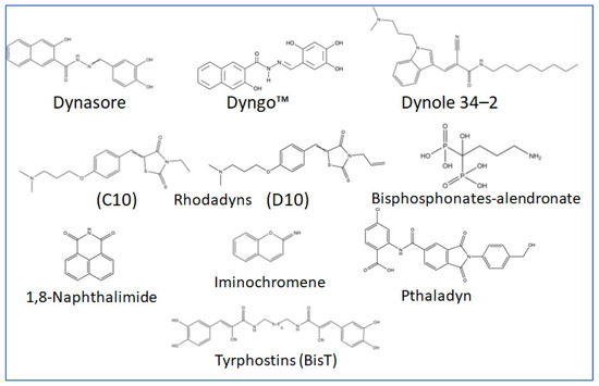 Mechanistic-Based Classification of Endocytosis-Related Inhibitors ...