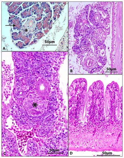 Clinical and Laboratory Parameters of Carp Edema Virus Disease: A Case ...