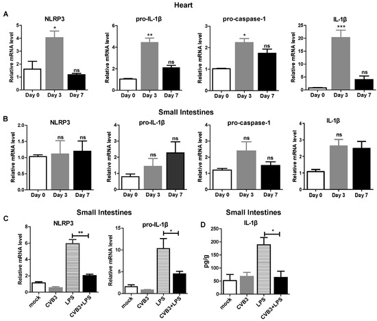 CVB3 Inhibits NLRP3 Inflammasome Activation by Suppressing NF-κB ...