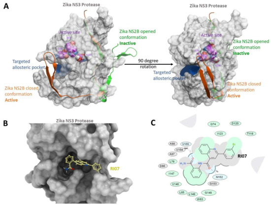 Viruses | Free Full-Text | Allosteric Inhibitors of Zika Virus NS2B-NS3 Protease Targeting ...