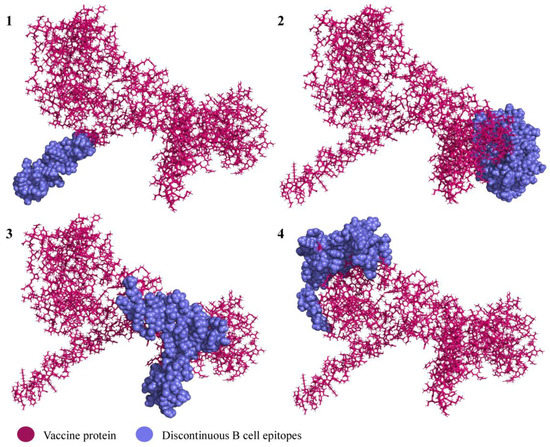 Development of a Multi-Epitope Universal mRNA Vaccine Candidate for ...