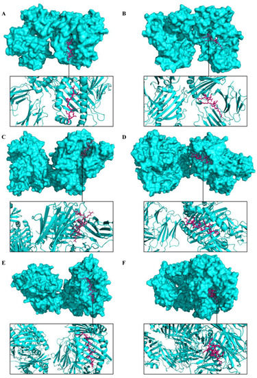 Development of a Multi-Epitope Universal mRNA Vaccine Candidate for ...