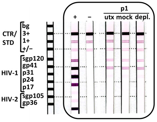 False-Positive Screening and Confirmatory HIV Diagnostic Test in a ...