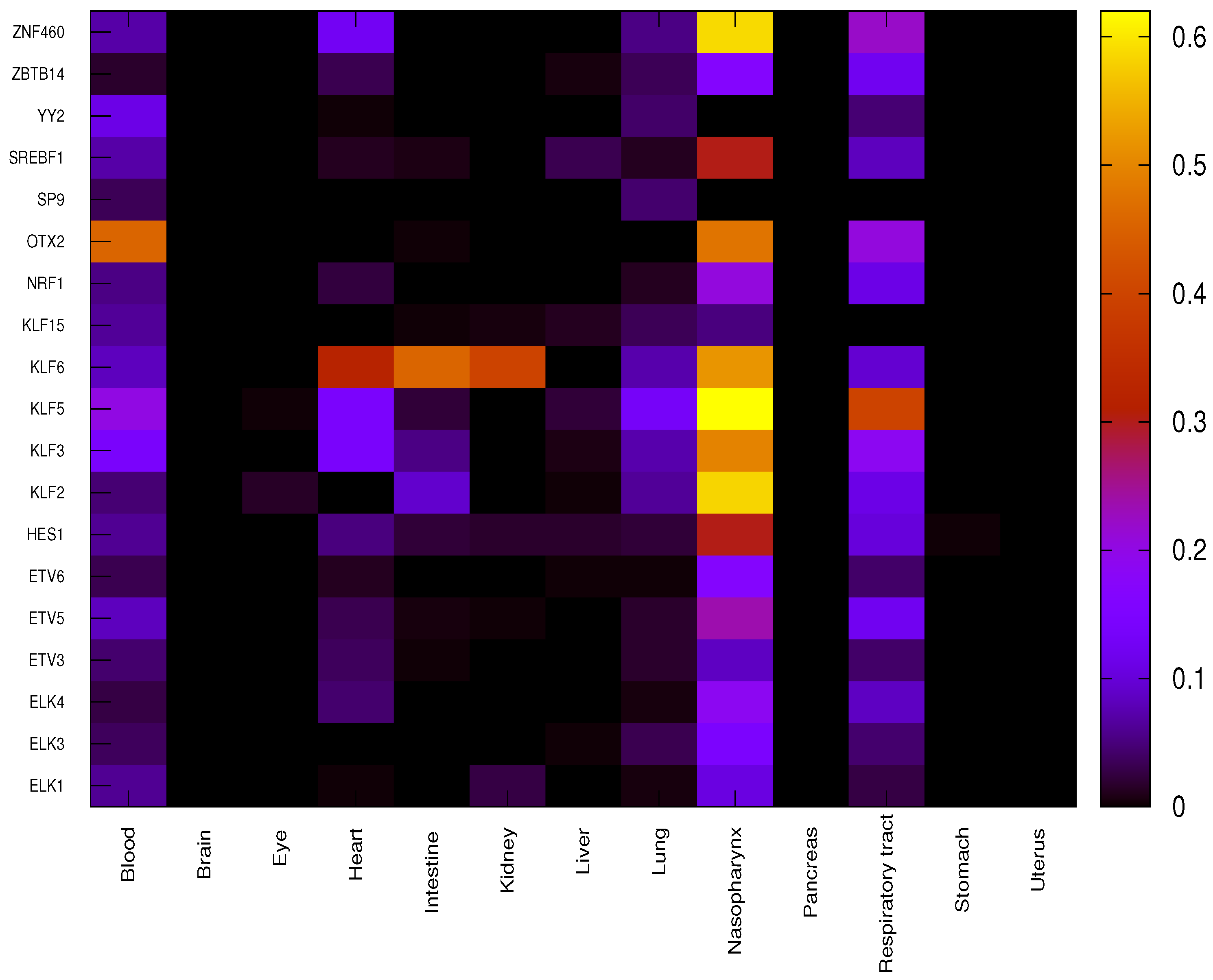Transcription Factor Driven Gene Regulation in COVID-19 Patients