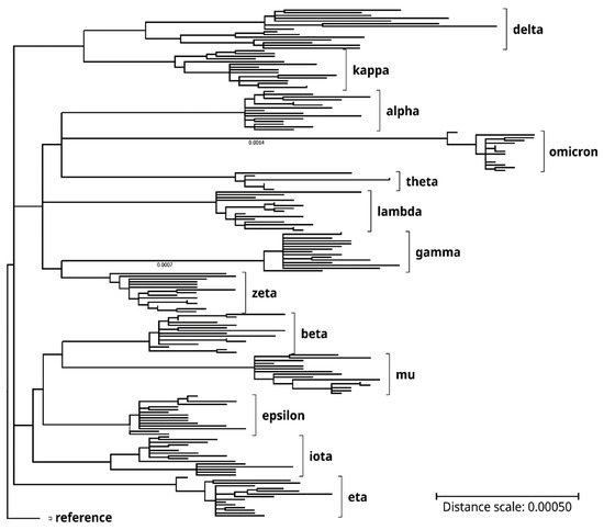 Quantitative Mutation Analysis of Genes and Proteins of Major SARS-CoV ...