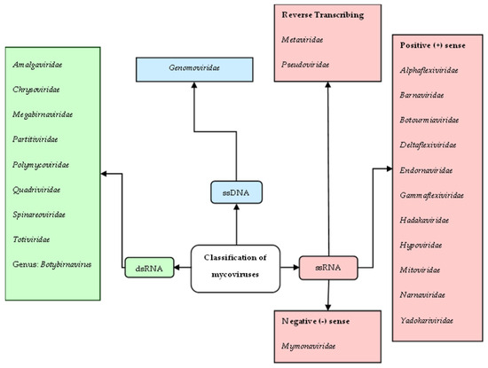 Fungal Viruses Unveiled: A Comprehensive Review of Mycoviruses