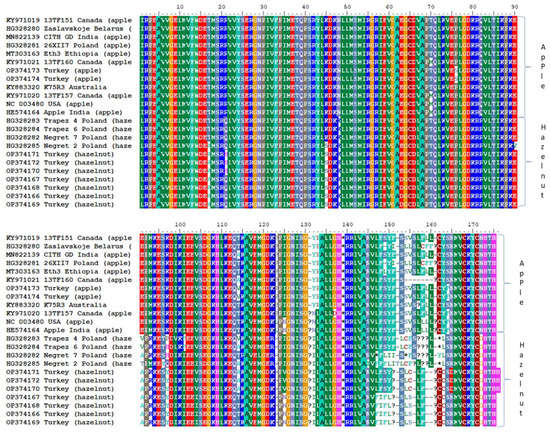 Global Population Structure of Apple Mosaic Virus (ApMV, Genus Ilarvirus)