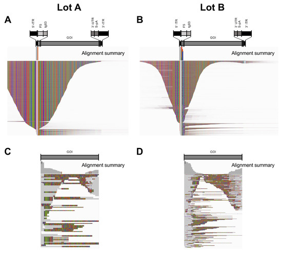 Querying Recombination Junctions of Replication-Competent Adeno ...