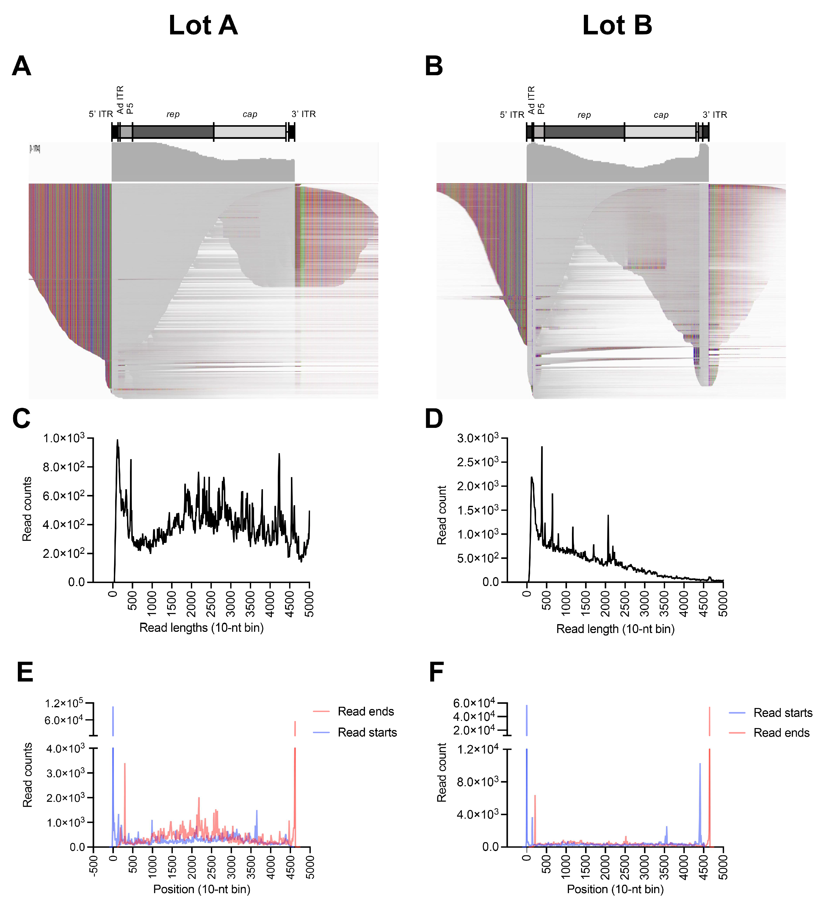 Querying Recombination Junctions of Replication-Competent Adeno ...
