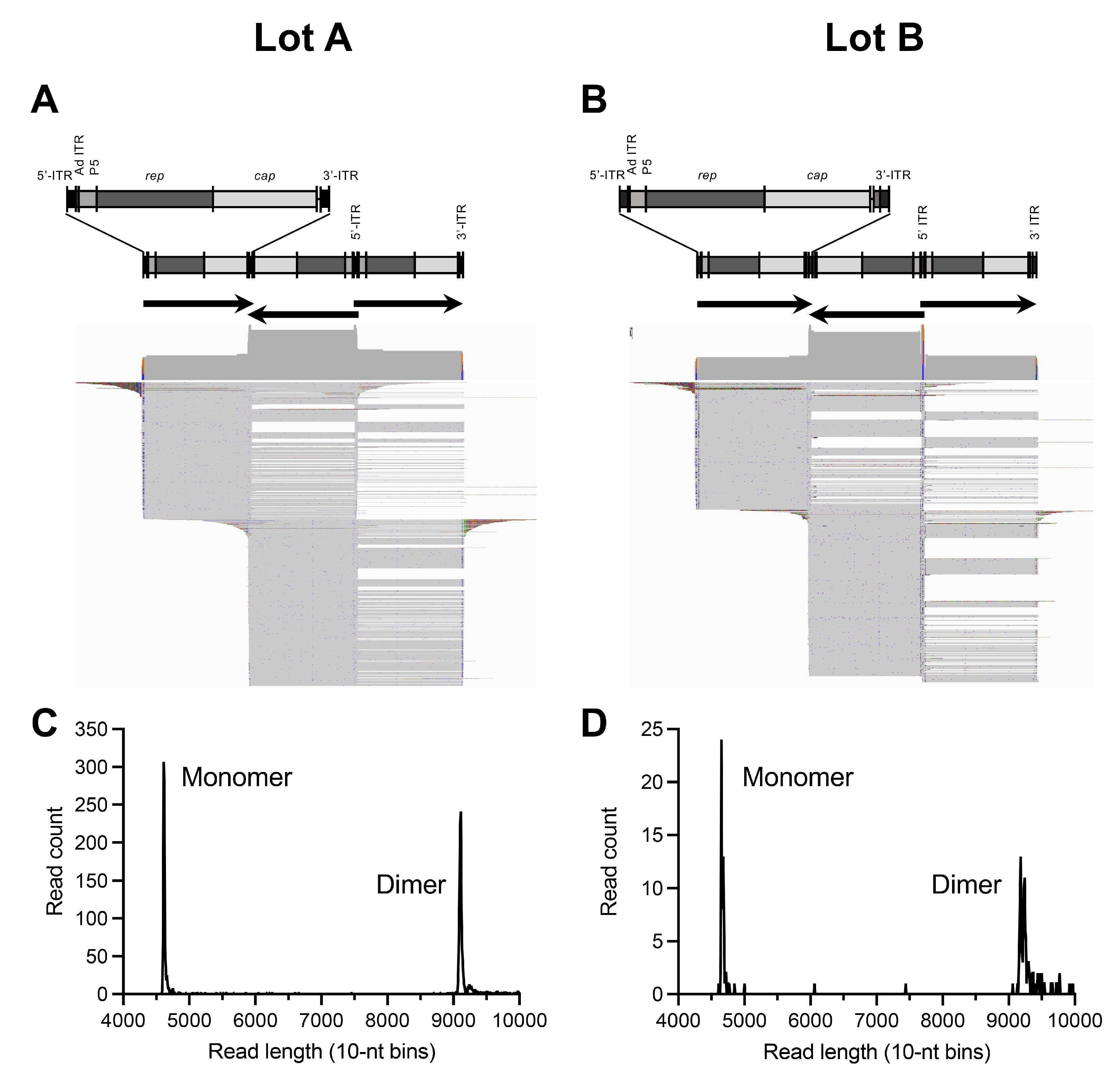 Querying Recombination Junctions of Replication-Competent Adeno ...