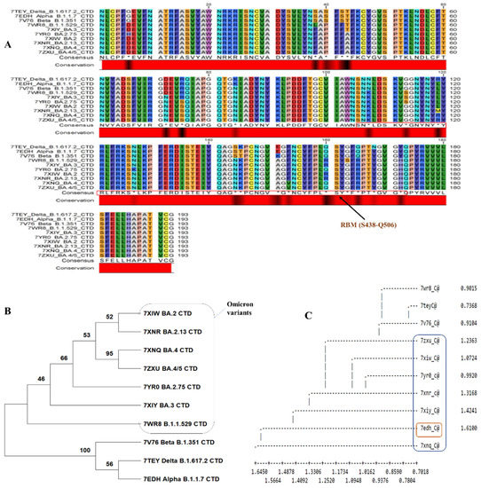 Recent Developments and Future Perspectives of Vaccines and Therapeutic ...