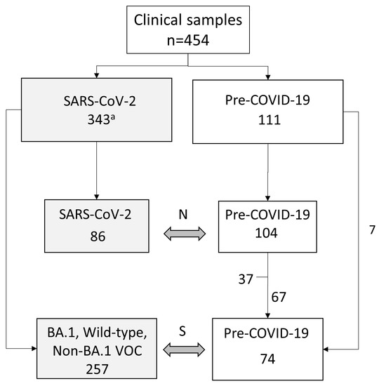 Rapid Detection of SARS-CoV-2 RNA Using Reverse Transcription ...