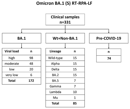 Rapid Detection of SARS-CoV-2 RNA Using Reverse Transcription ...