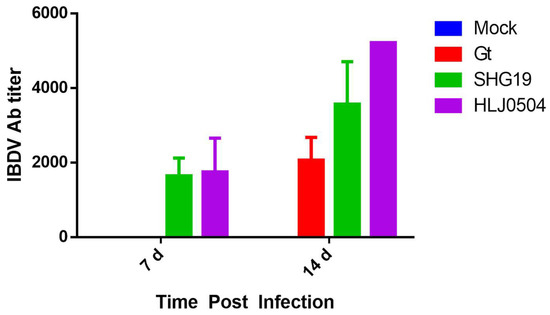 Comparative Pathogenicity of Three Strains of Infectious Bursal Disease ...