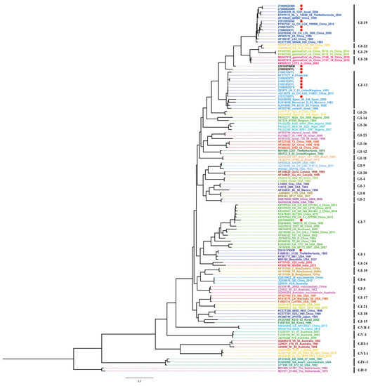 Antigenic Characterization of Infectious Bronchitis Virus in the South ...