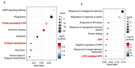 ERVW-1 Activates ATF6-Mediated Unfolded Protein Response by Decreasing ...