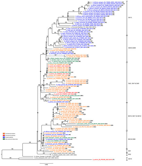 The Molecular Epidemiology of Clade 2.3.4.4B H5N1 High Pathogenicity ...