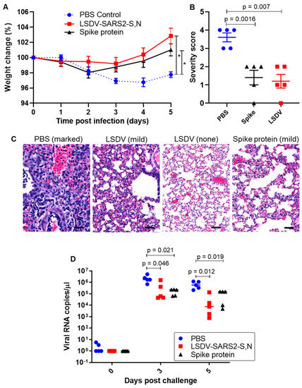 Viruses | Free Full-Text | LSDV-Vectored SARS-CoV-2 S and N Vaccine ...
