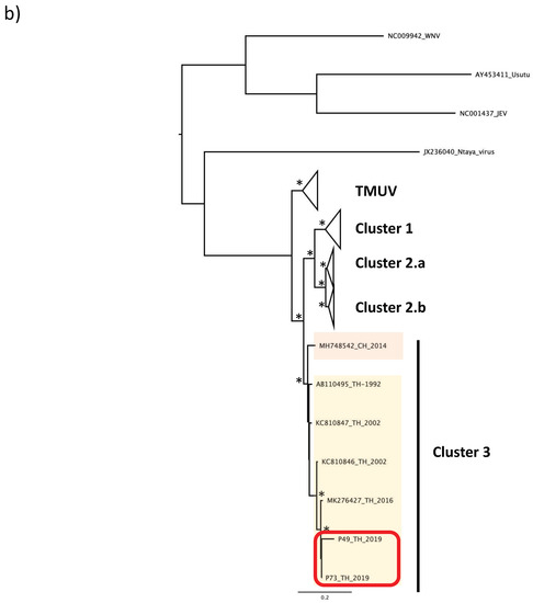 Identification of the Tembusu Virus in Mosquitoes in Northern Thailand