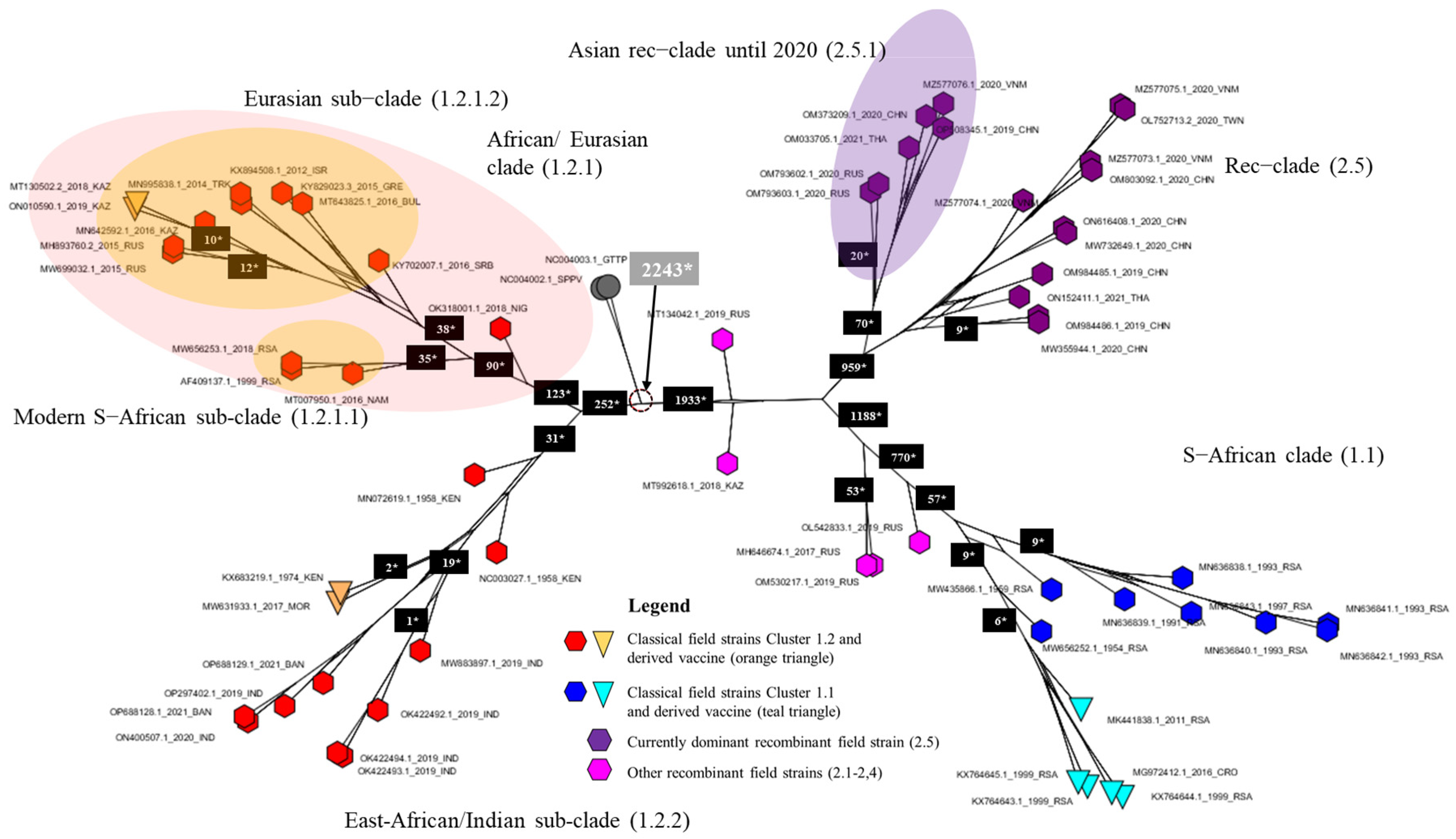 Lumpy Skin Disease Virus Genome Sequence Analysis: Putative Spatio ...