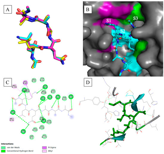 Viruses | Free Full-Text | In Silico Substrate-Binding Profiling for ...