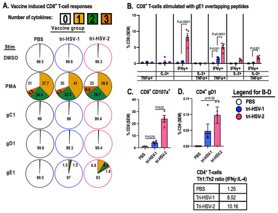 Viruses | Free Full-Text | A Trivalent HSV-2 gC2, gD2, gE2 Nucleoside ...