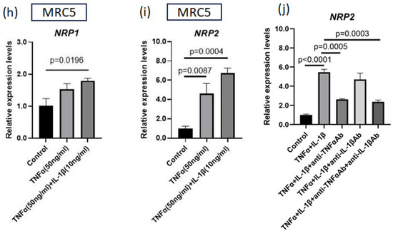 Tumor Necrosis Factor and Interleukin-1β Upregulate NRP2 Expression and ...