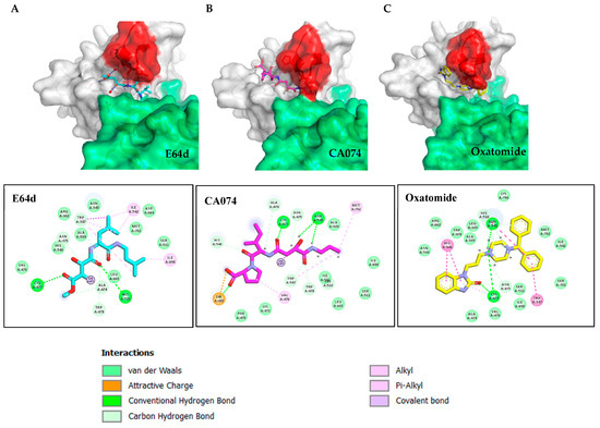 In Silico Screening of Inhibitors of the Venezuelan Equine Encephalitis ...