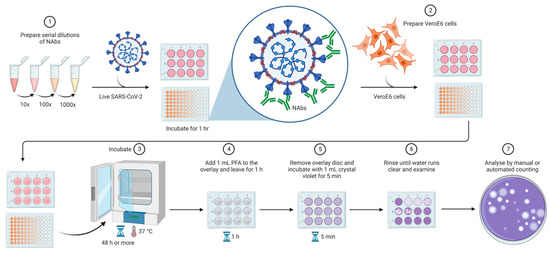 An Overview of the Conventional and Novel Methods Employed for SARS-CoV ...