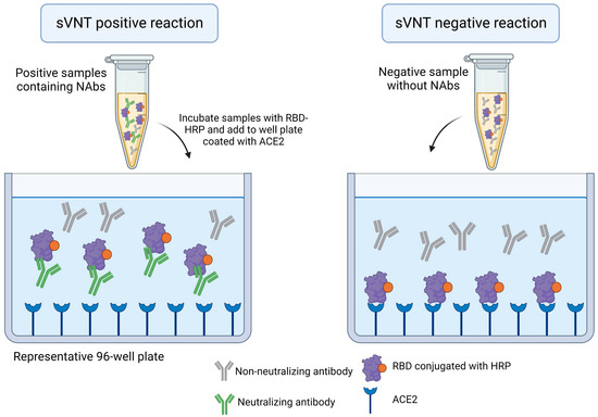 An Overview of the Conventional and Novel Methods Employed for SARS-CoV ...