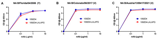 Fc-Effector-Independent in vivo Activity of a Potent Influenza B ...