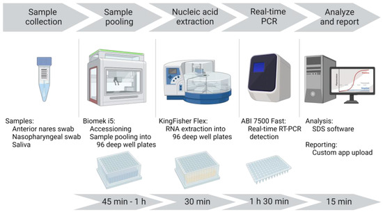 The Cornell COVID-19 Testing Laboratory: A Model to High-Capacity ...