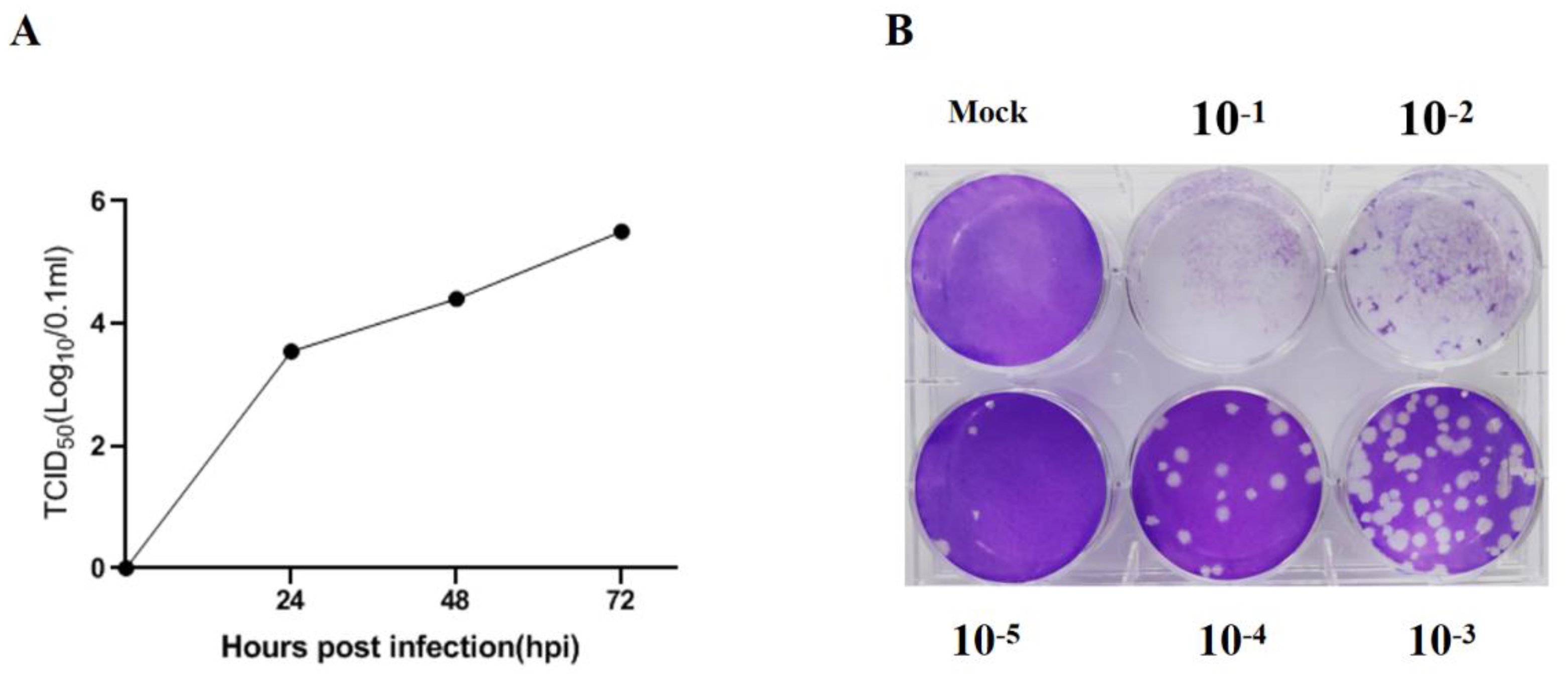 Multiple Porcine Innate Immune Signaling Pathways Are Involved in the Anti-PEDV Response