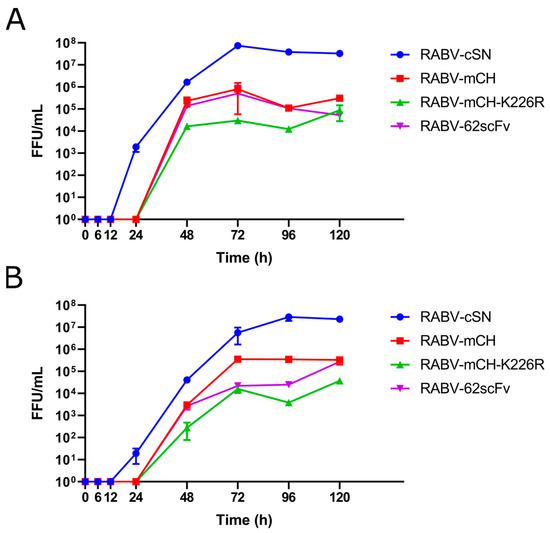 Viruses | Free Full-Text | Characterisation of a Live-Attenuated Rabies ...