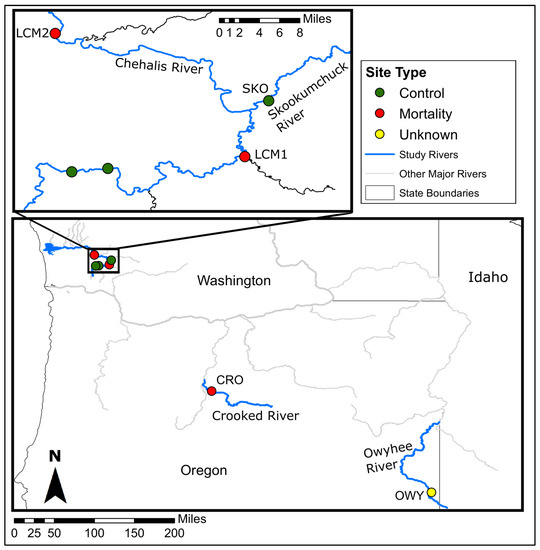Viruses of Freshwater Mussels during Mass Mortality Events in Oregon ...