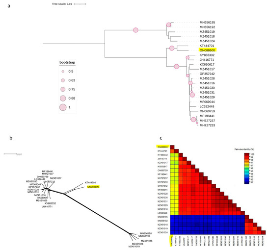 Characterization of Prunus Necrotic Ringspot Virus and Cherry Virus A ...