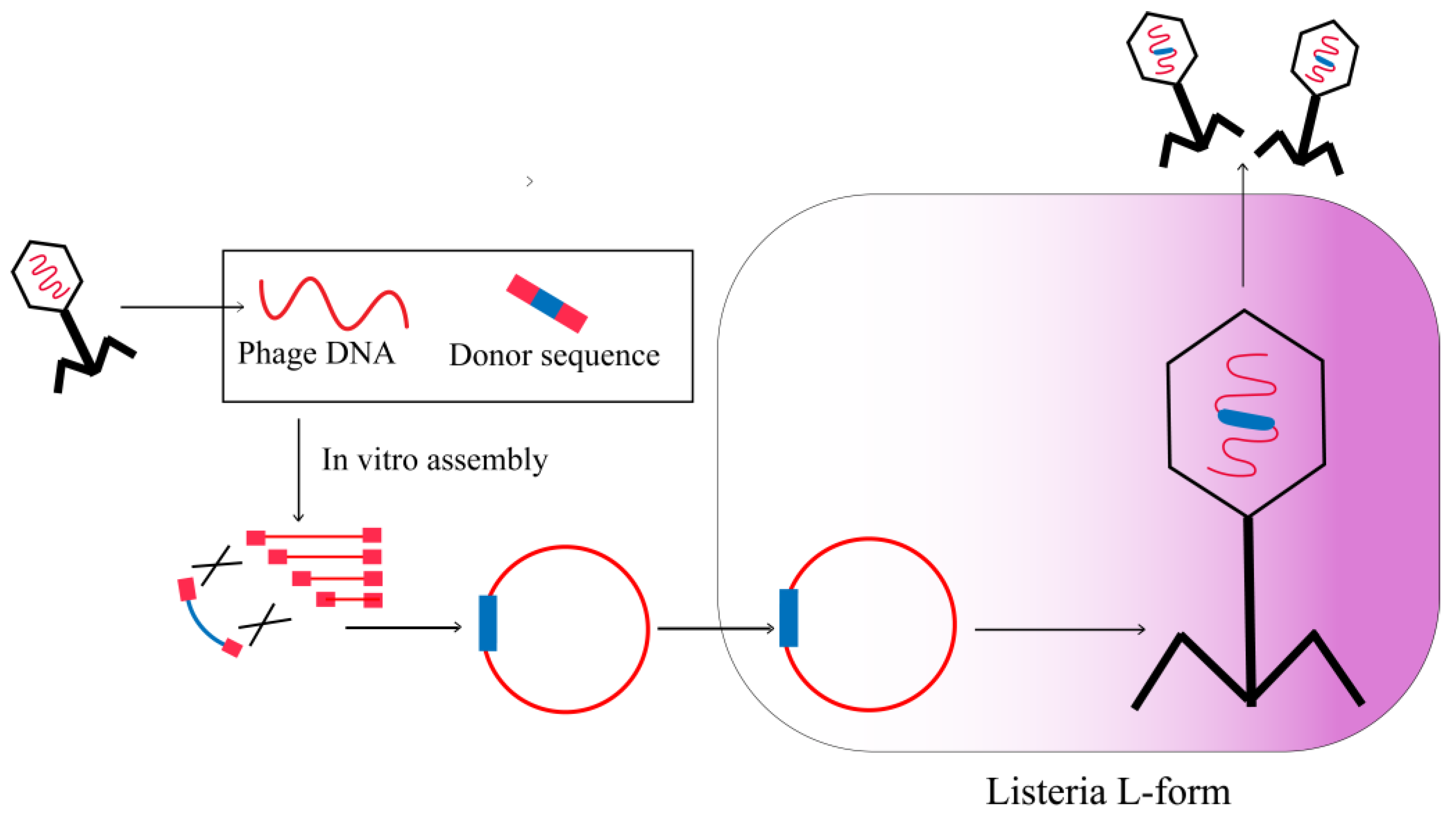 Genetic Engineering and Biosynthesis Technology: Keys to Unlocking the ...
