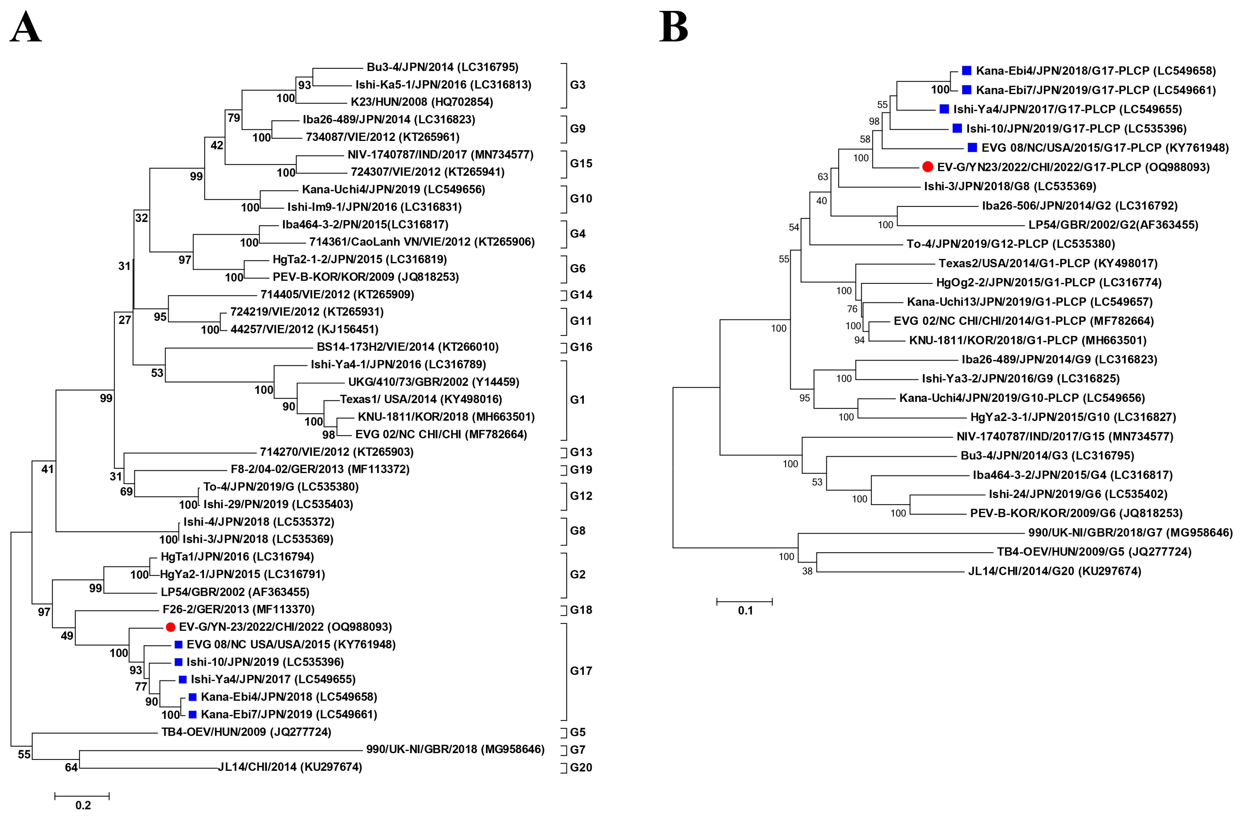 First Identification and Pathogenicity Evaluation of an EV-G17 Strain ...