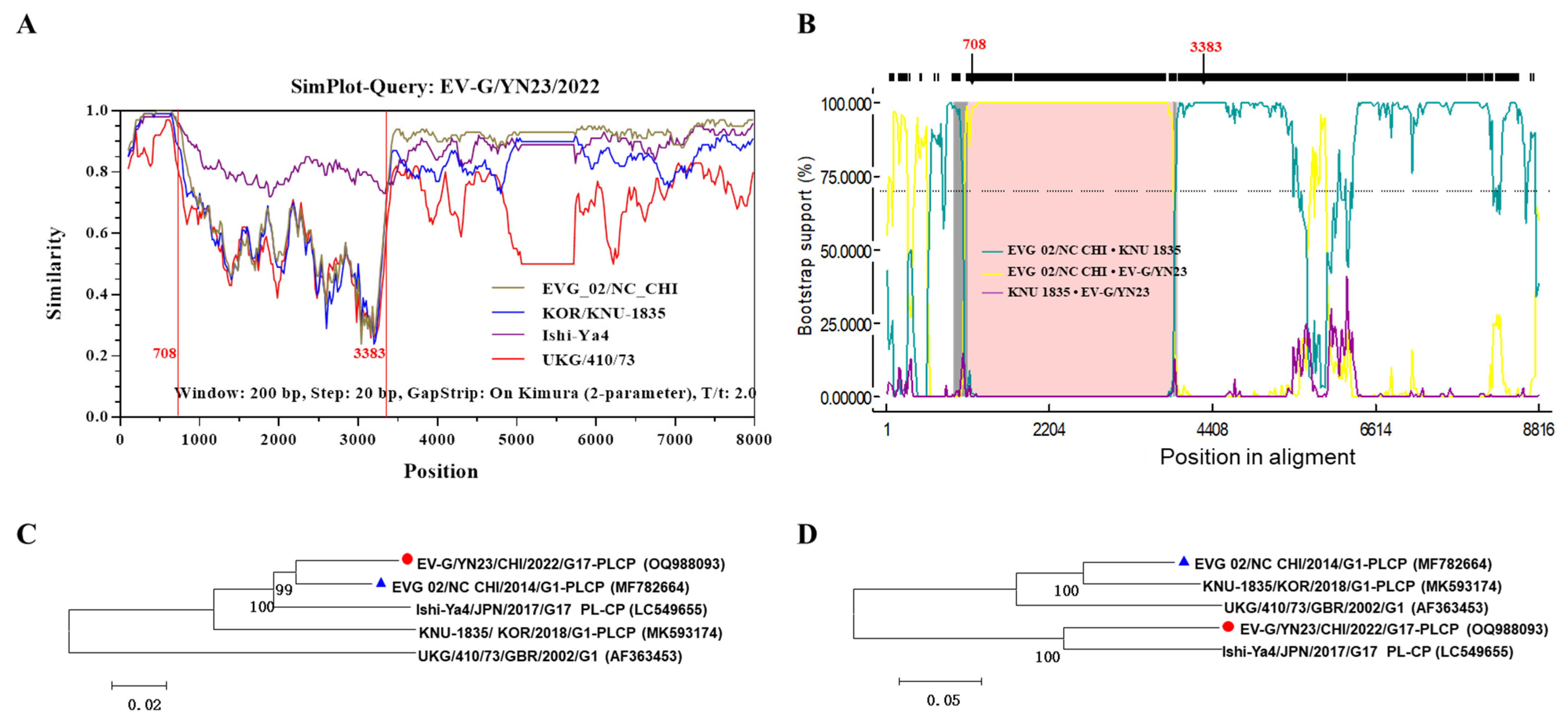 First Identification and Pathogenicity Evaluation of an EV-G17 Strain ...