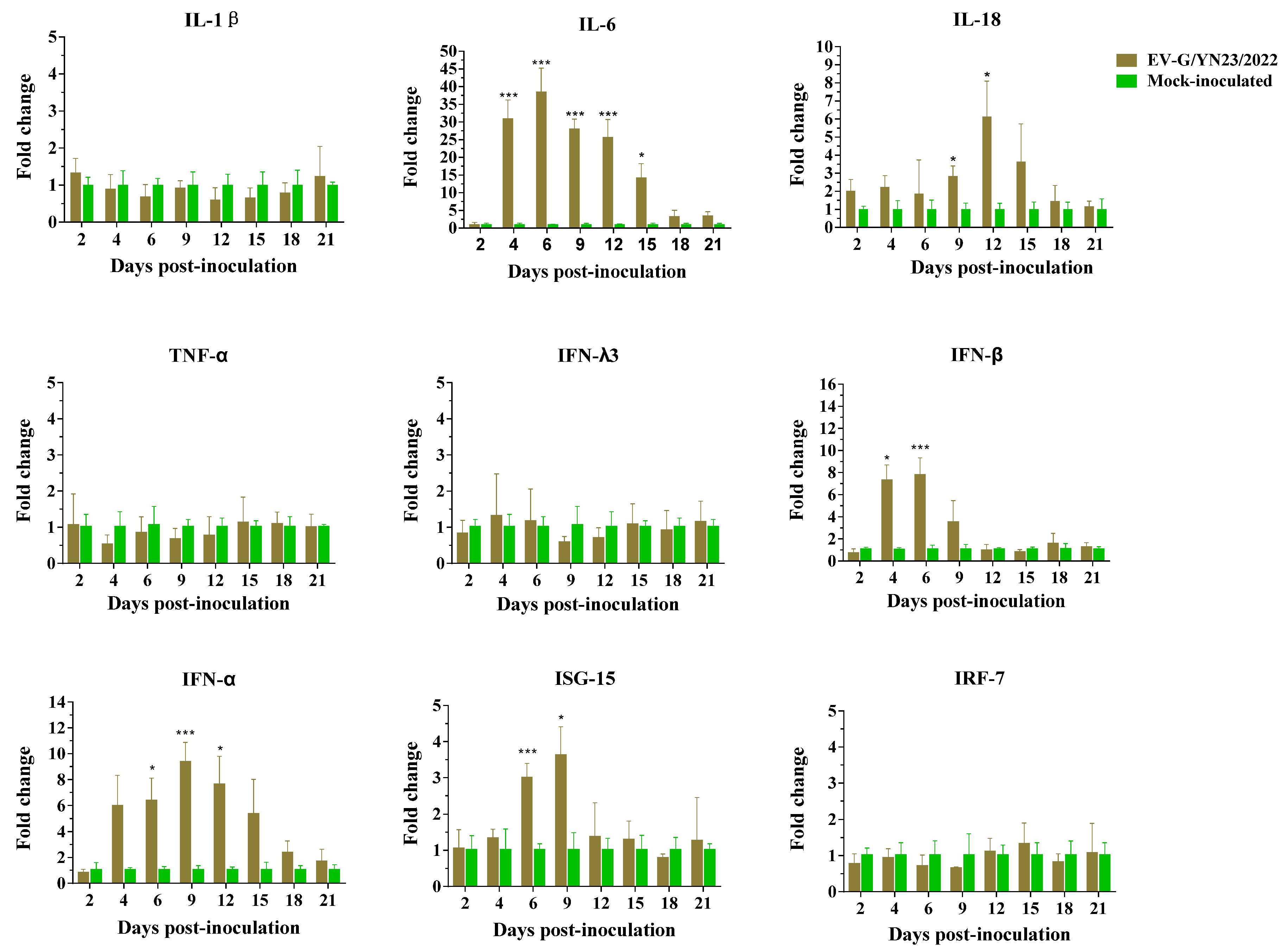 First Identification and Pathogenicity Evaluation of an EV-G17 Strain ...