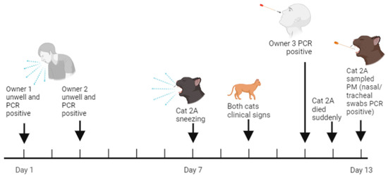 Viruses | Free Full-Text | SARS-CoV-2 in Domestic UK Cats from Alpha to ...