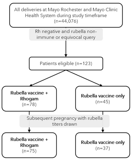 Efficacy of Rubella Vaccination after Co-Inoculation with Rhogam
