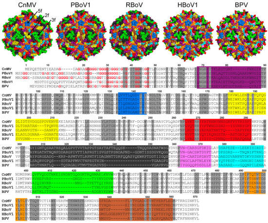 Structural Characterization of Canine Minute Virus, Rat and Porcine ...